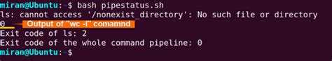 Print And Handle Error With Bash Exit Code Easy Guide Linuxsimply