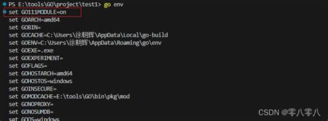 go环境搭建 go mod 配置 csdn博客