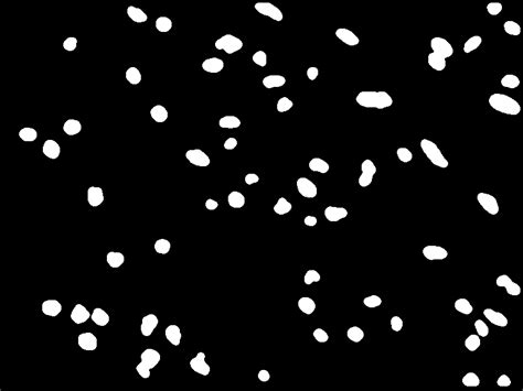 the binary image was further processed with morphological filters size