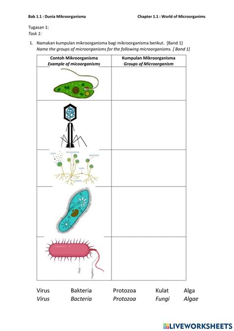 World Of Microorganisms Interactive Worksheet Live Worksheets Worksheets Library