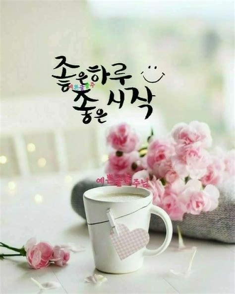 사각사각가볍게