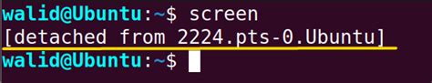The Screen Command In Linux Practical Examples