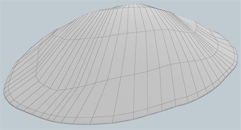 conch shell 3d model 29 dwg fbx obj stl max free3d
