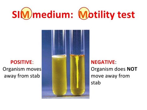 sim media Google Search การศกษา