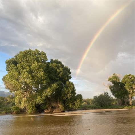 Rillito Wash After Some Monsoon Or Winter Rain The Rillito Can Be A