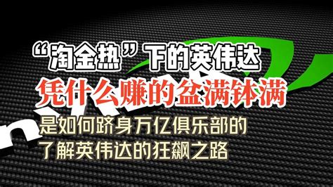 淘金热下的英伟达凭什么赚的盆满钵满 维库芯视频