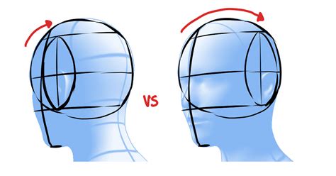 How To Draw Ears Front View