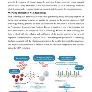 NGS Technology Used To Analyze Microbial Community The Figure Download Scientific Diagram