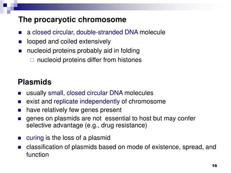 Ppt A Preview Of Procaryotic Cell Structure And Function Powerpoint Presentation Id4216385
