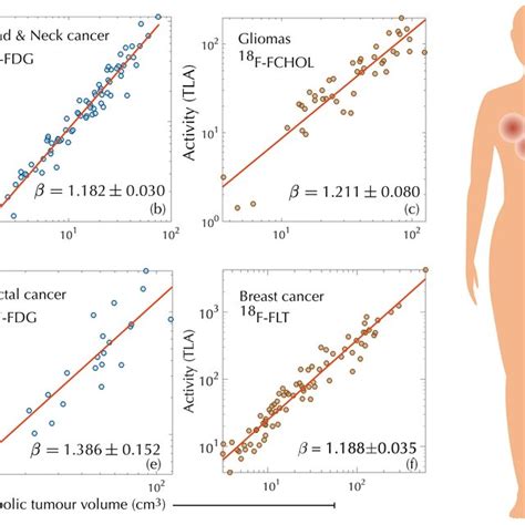 a superlinear scaling law governs glucose uptake and proliferation in