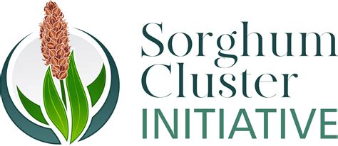 Sorghum Cluster Sorghum Trust