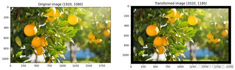 [pytorch深度学习] 基于transforms的图像数据增强理解与实现 transforms 数据增强 csdn博客