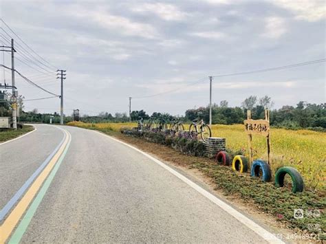 十二月走园－龙华社区丘陵乡村骑行环线（项目成果）