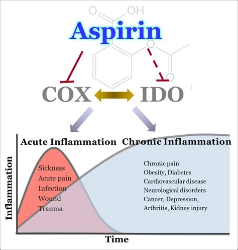 Decoding Aspirin New Research Unveils The Secrets Behind Its Powerful Effects