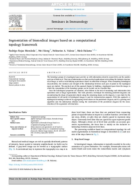 Pdf Segmentation Of Biomedical Images Based On A Computational Topology Framework Rodrigo