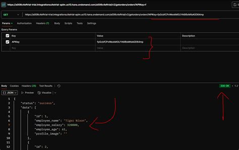 Sap Cpi Apim Api Management Apikey Policy