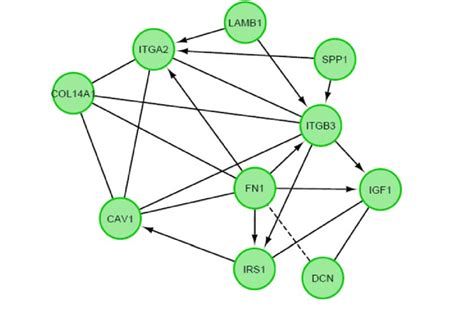 Functional Interaction Fi Between 20 Chosen Differently Expressed Download Scientific Diagram