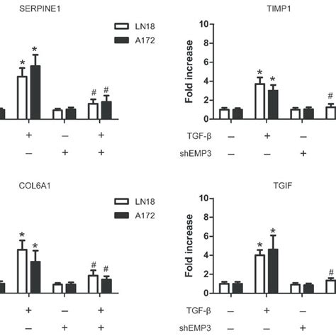 A Expression Of EMP3 And CD44 In Human GBM Cell Lines B EMP3