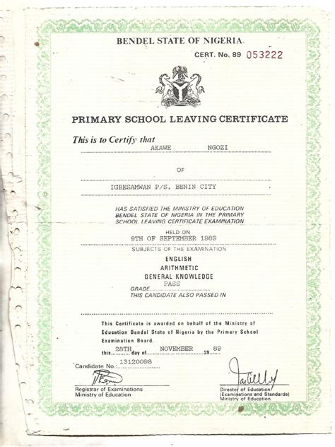 Primary School Leaving Cert Pdf