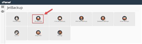 Hướng Dẫn Restore Dữ Liệu Website Với Jetbackup Hướng Dẫn Tenten