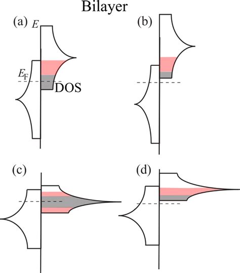 Typical Density Of States For The Bilayer Hubbard Model A B T ⊥ Download Scientific