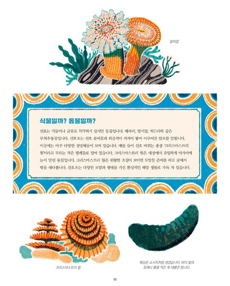 알라딘 미리보기 그레이트 배리어 리프