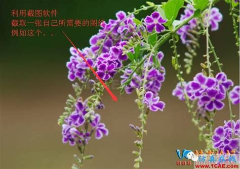 UG导入图片方法 ug nx培训课程UG培训ug模具培训ug视频教程ug设计教程ug软件下载UG autoform