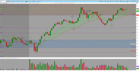 Script Help Hide Previous Orders Rthinkorswim