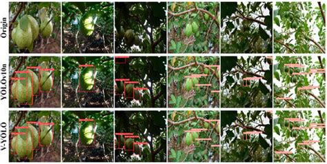 Agronomy Special Issue Intelligent Information System For Agriculture Based On Vision Technology