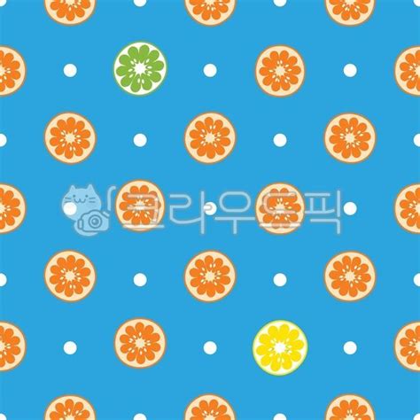 오렌지 라임 레몬 시트러스 과일 사진이미지일러스트캘리그라피 Designare작가