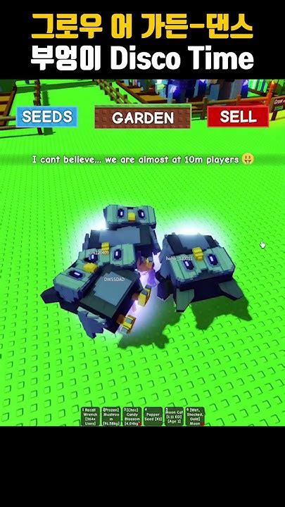그로우 어 가든 부엉이 디스코 댄스 타임 Roblox Grow A Garden Youtube