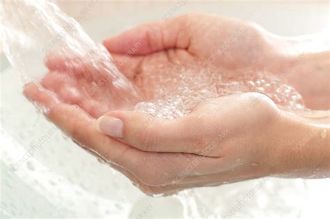 Woman Washing Her Hands Stock Image F Science Photo Library