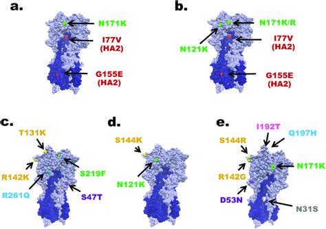 The Defining Residue Substitutions Placed On The Ha Protein Structure