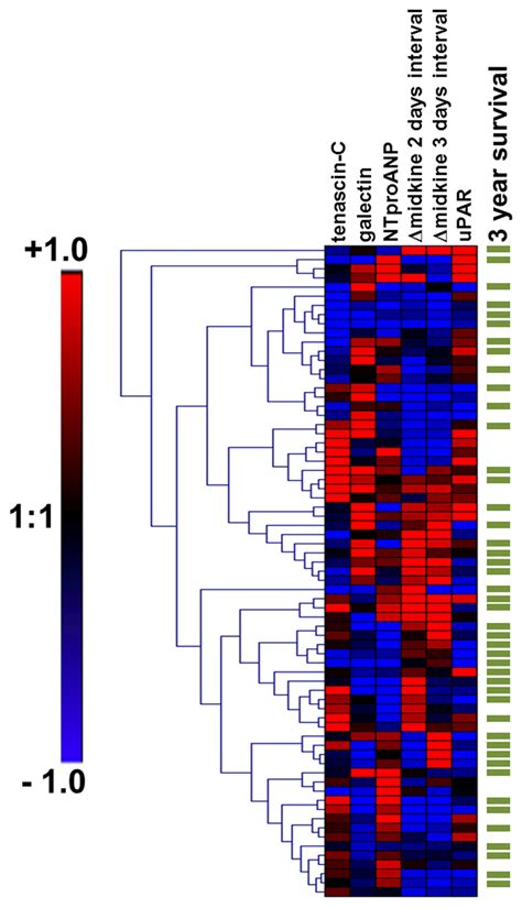 Heatmap Analyses Of Serum Marker Determinations To Identify Subgroups Download Scientific