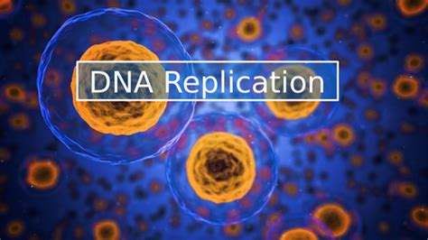 Dna Replication Powerpoint Teaching Resources