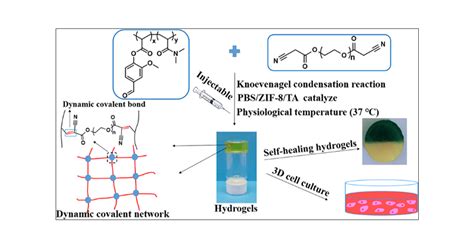 Dynamic Covalent C═c Bond Cross Linked Injectable And Self Healable