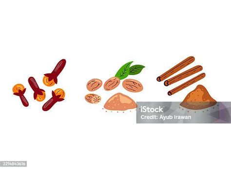 손으로 그린 정향 육두구 계피 다채로운 향신료 벡터 일러스트 레이 션 건강한 식생활에 대한 스톡 벡터 아트 및 기타 이미지 건강한 식생활 계피 벡터 Istock