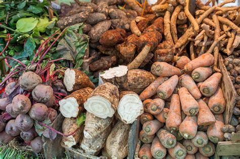 Smart Vision Works Siftai® Vision Based Sorting Sizing And Grading System For Food Production