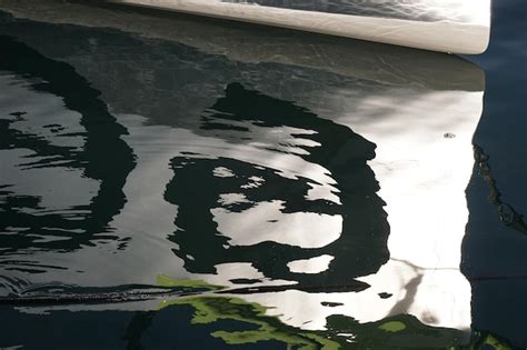 Premium Photo Reflection Of Trees In Water