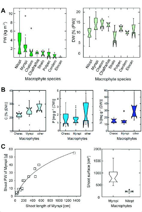Background Measurements For Quantifying The Impact Of Aquatic