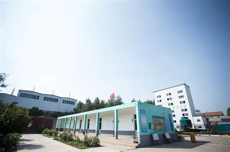 淄博伟强化工有限公司 正丁基锂 甲基锂 正己基锂 二异丙基氨基锂 六甲基二硅基氨基锂 双 三甲基硅基 胺锂 仲丁基锂 苯基锂