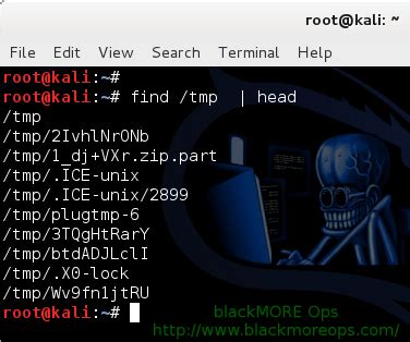 Practical Examples Of Linux Find Command Find Command Examples For