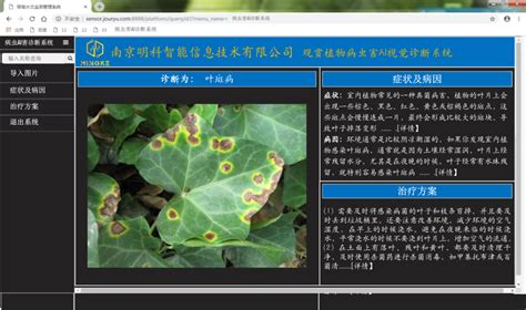 Deepsim Vit Based Models For Plant Disease Detection Deepsim Blog