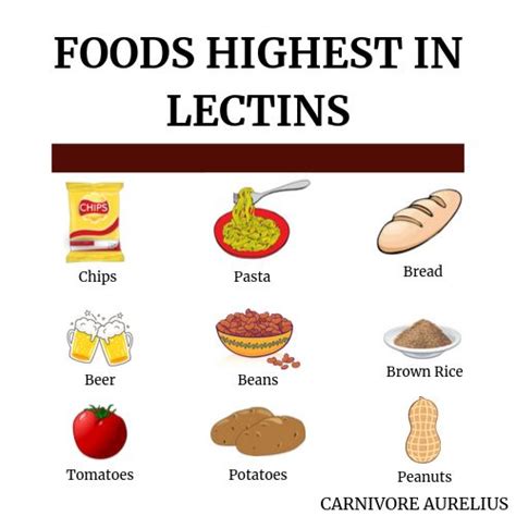 10 Dangers Of Eating Lectins How To Avoid Them Lectin Free Diet Lectins Lectin Free Foods