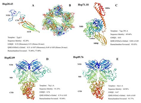 Three Dimensional Structures Of Aglahsps Proteins Homo Sapiens