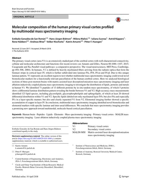 Pdf Molecular Composition Of The Human Primary Visual Cortex Profiled