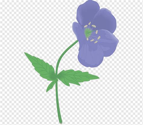 Graphy Earch Fuc Png PNGWing