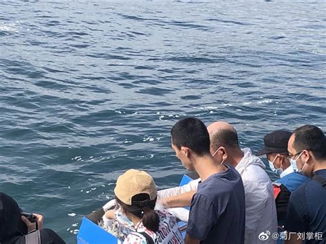 深圳海葬如何申请以及步骤 博海拾贝