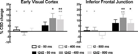 Divergent Roles Of Early Visual Cortex And Inferior Frontal Junction In Visual Working Memory