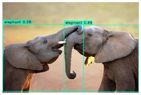 Mastering Object Detection With Yolo Nas By Rania Clique Community